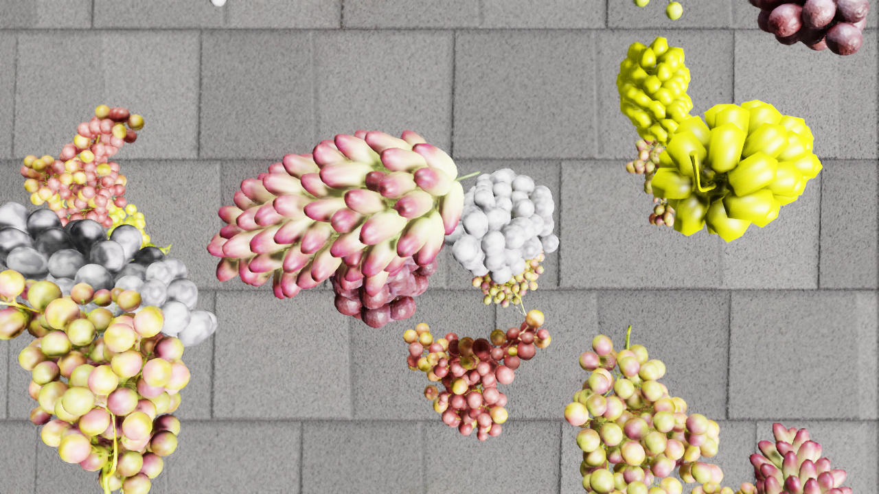 test_grape_12 Object Detection Dataset and Pre-Trained Model by ...