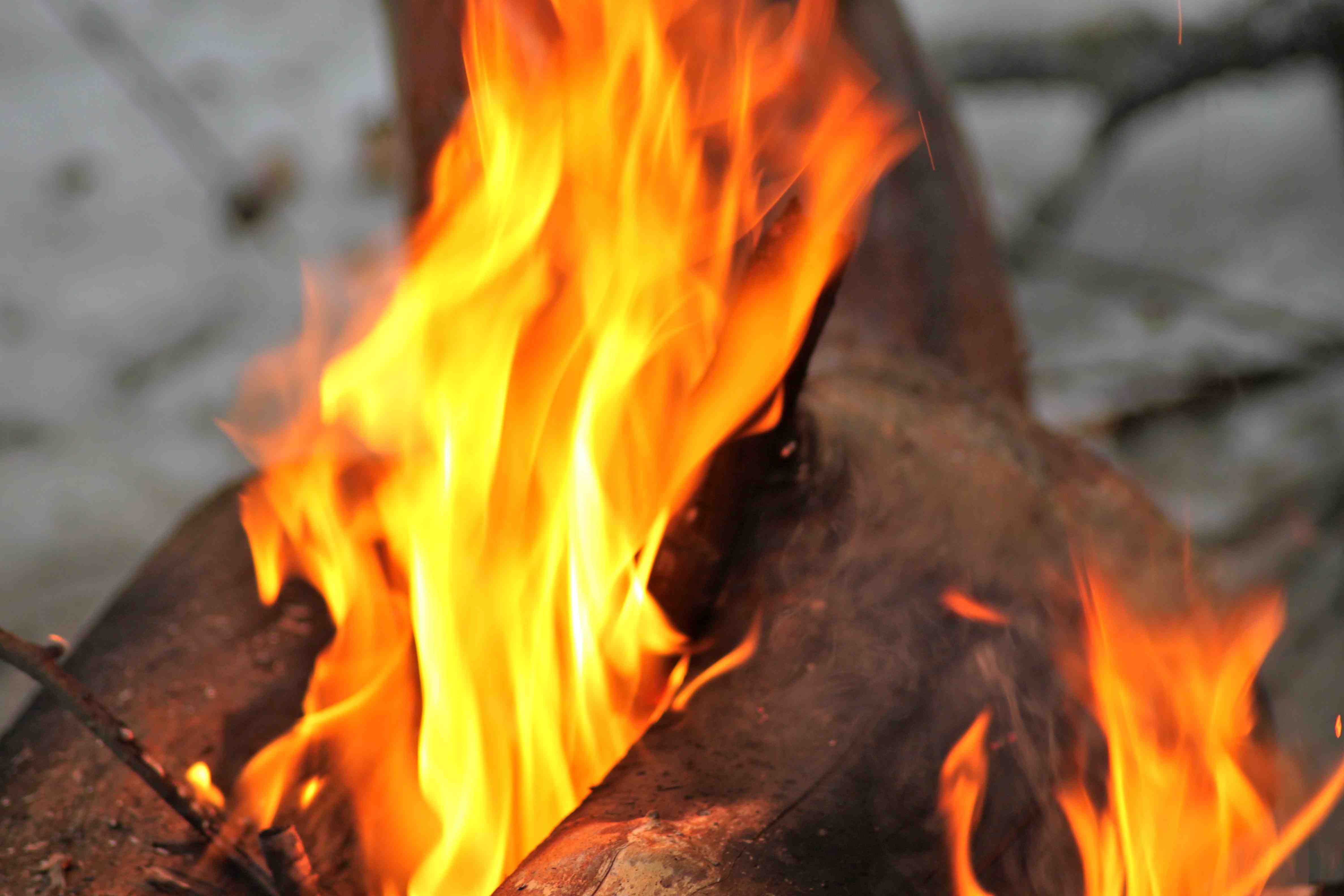 AI fire egg2 Object Detection Dataset by project-pqh50