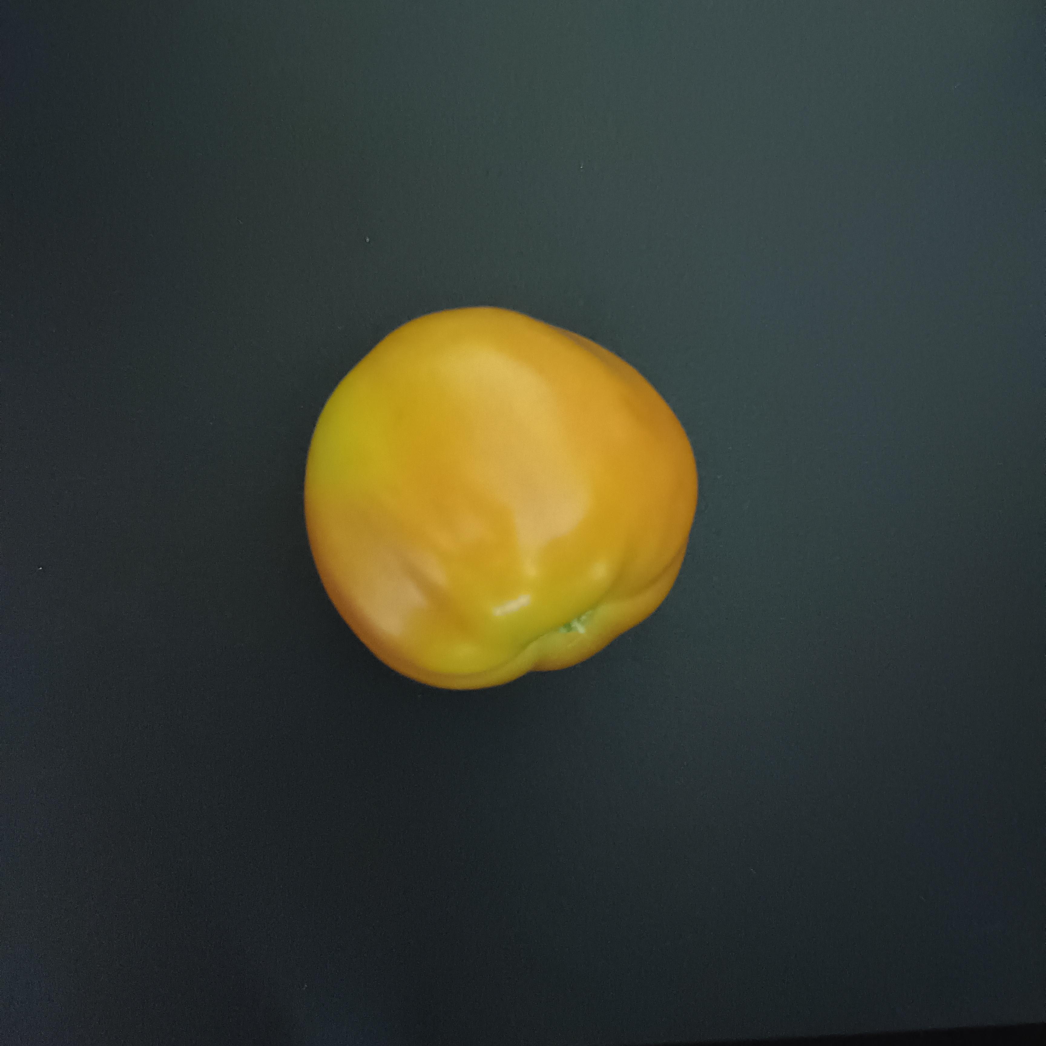Tomato Object Detection Dataset and Pre-Trained Model by a
