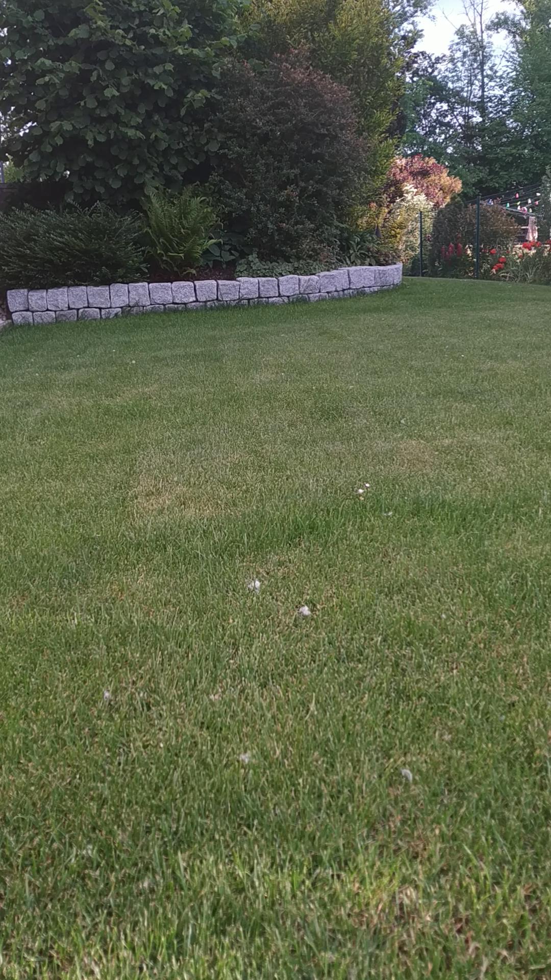 lawn Object Detection Dataset by Michael Ringer