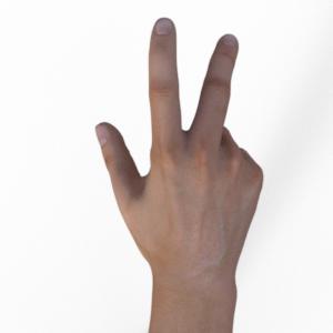 Rock-Paper-Scissors gesture detection Classification Dataset and Pre ...