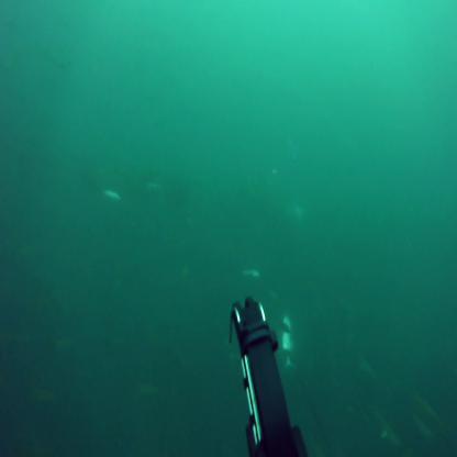 3_10 Object Detection Dataset (v1, 3_11) by mort detection