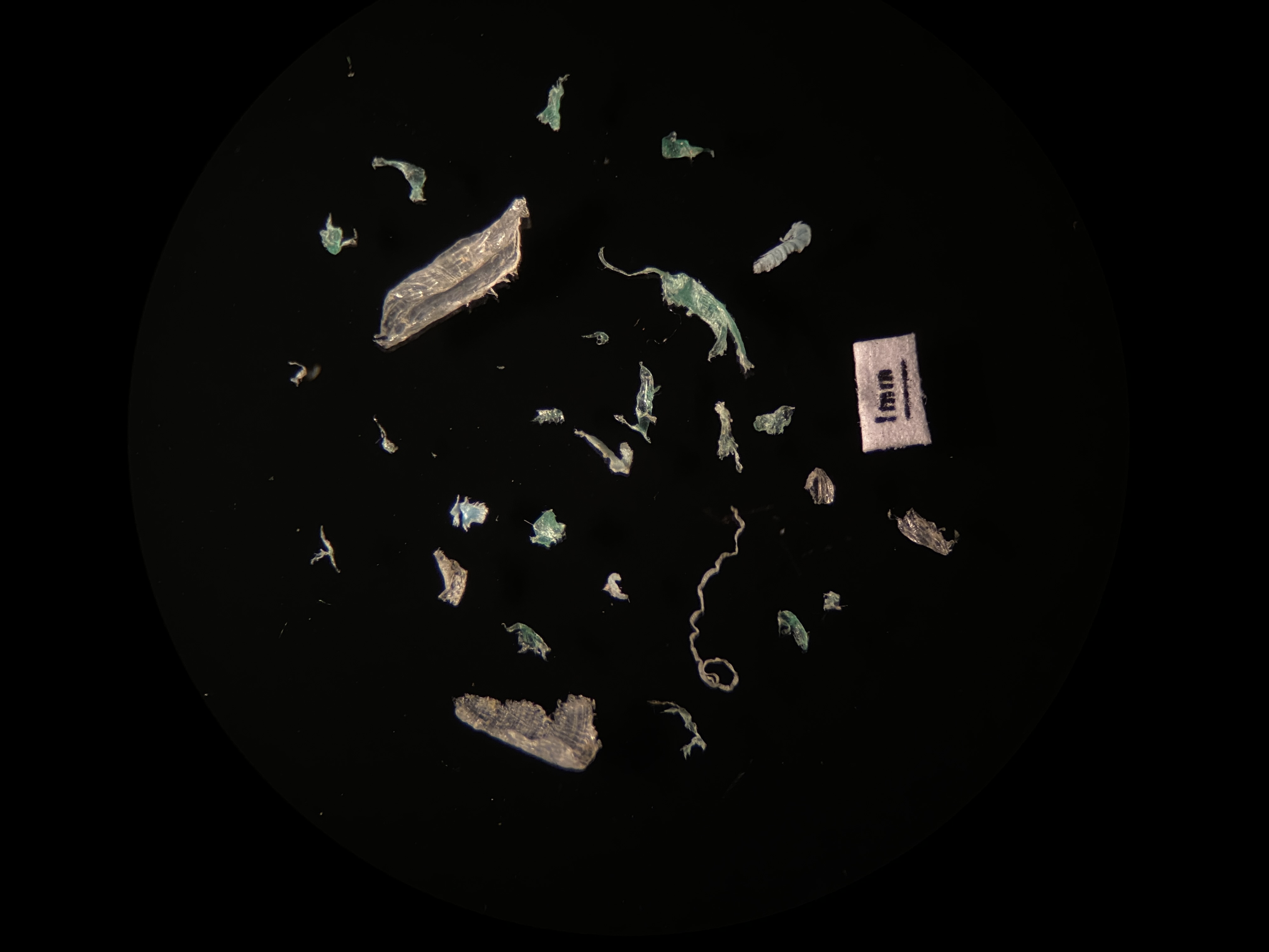 How to Use the count microplastics Object Detection API