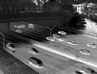 CAMEL Object Detection Dataset by Yolo