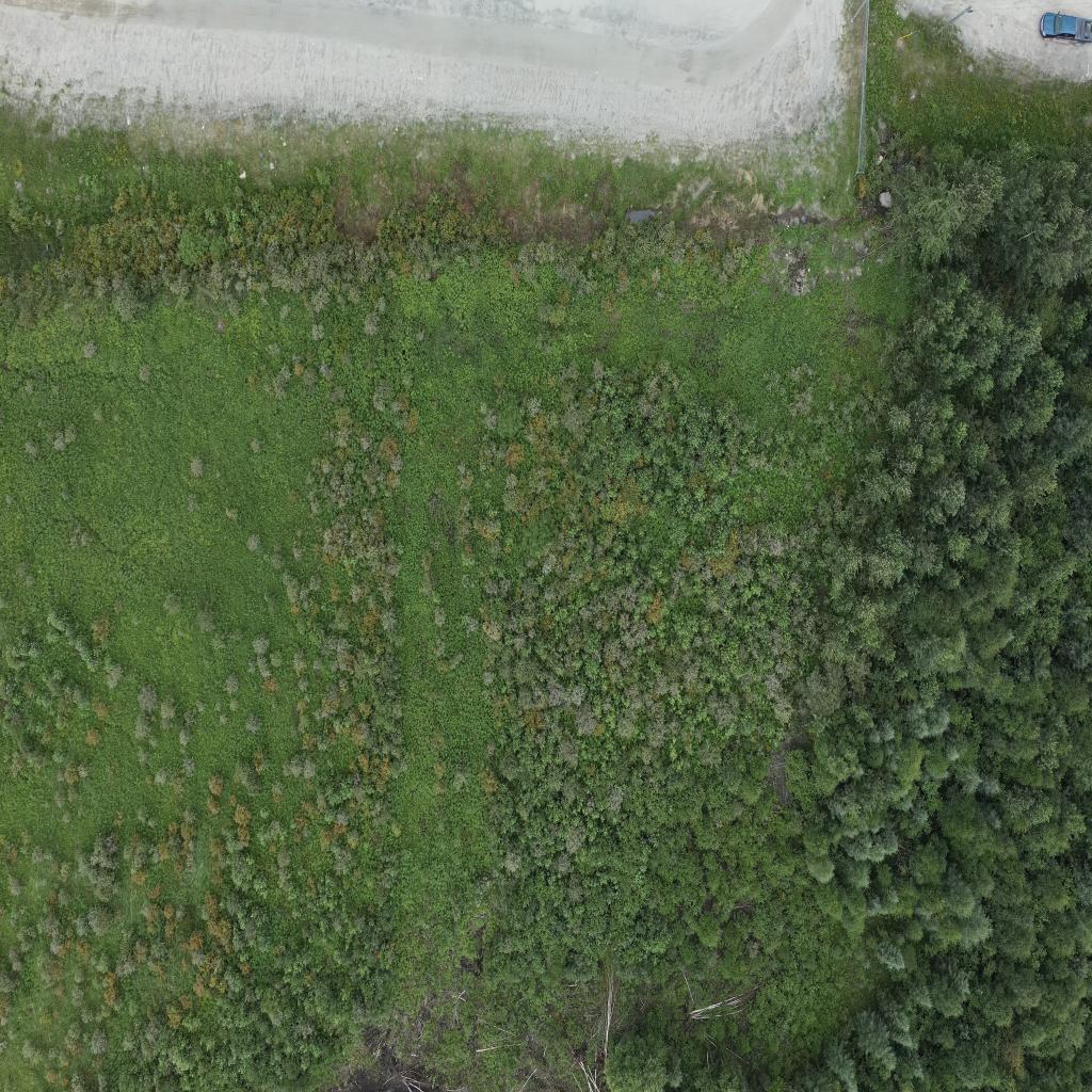 Test4 Instance Segmentation Dataset By Rail Detection