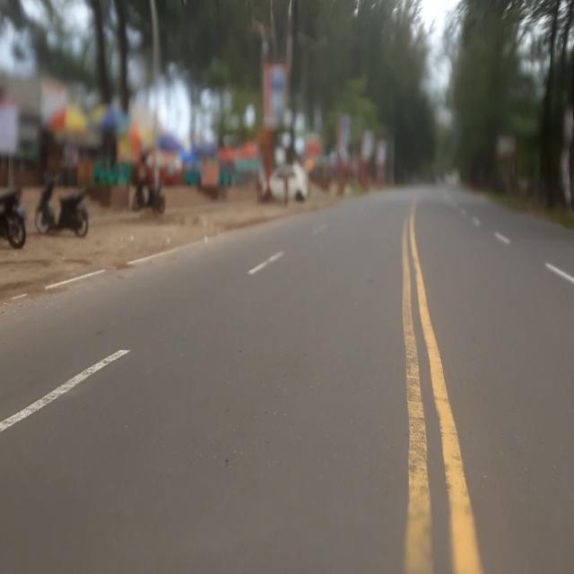 MarkingsNew Instance Segmentation Dataset by Drones