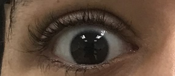 iris Object Detection Dataset by ifba