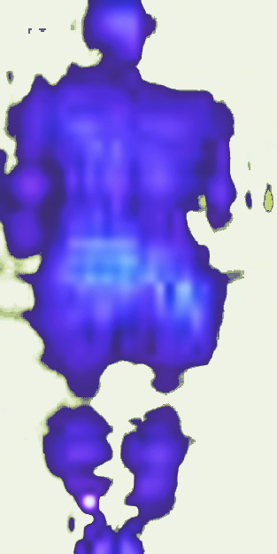 Body Shape Recognition Object Detection Dataset by Body Shape recognition