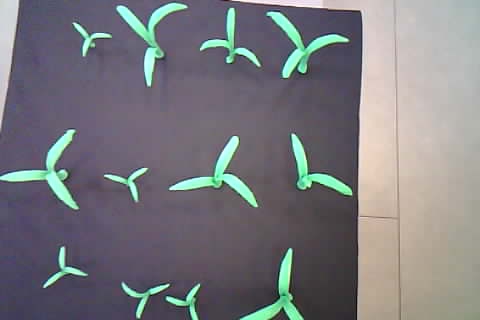 How to Use the stand corn Object Detection API