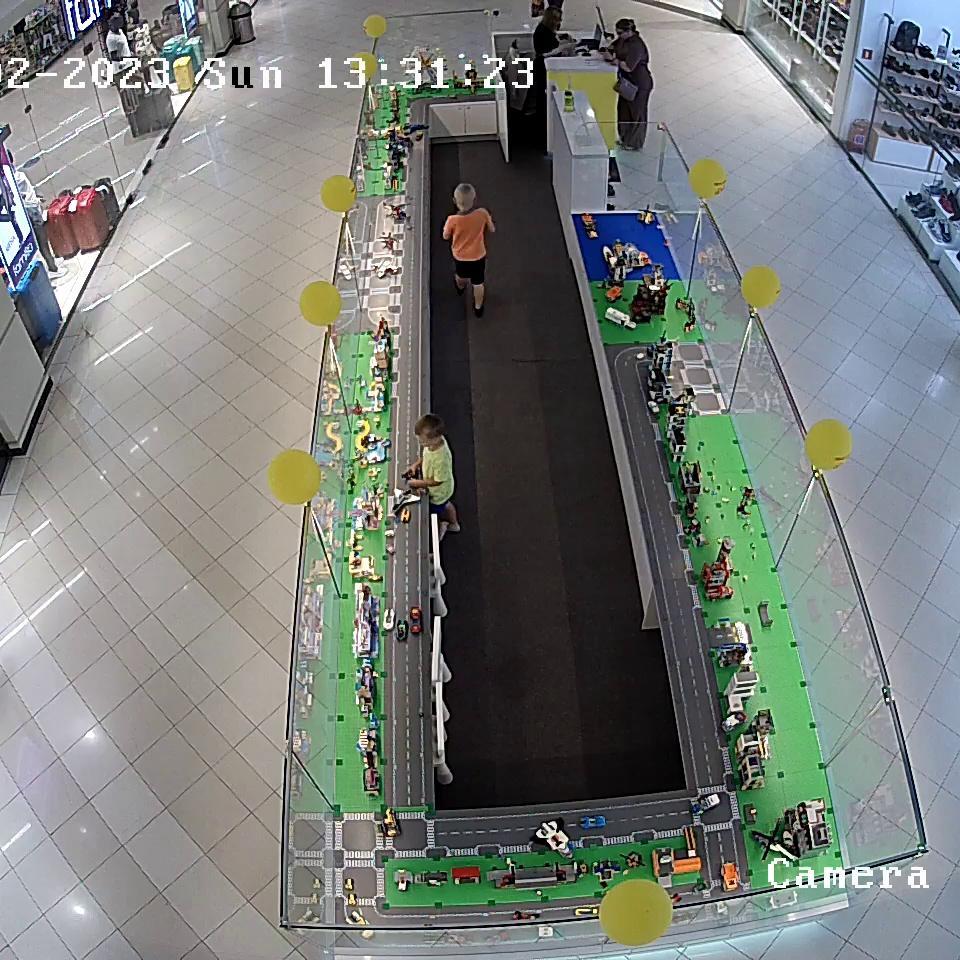 Cctv Person Detection Object Detection Dataset And Pre Trained Model By