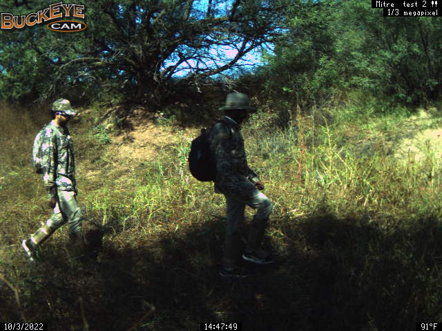 Camo Object Detection Object Detection Dataset and Pre-Trained Model by Camouflage