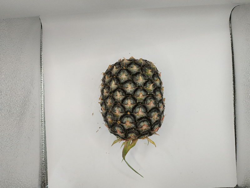 fruit-ripening Classification Dataset by DataMommie