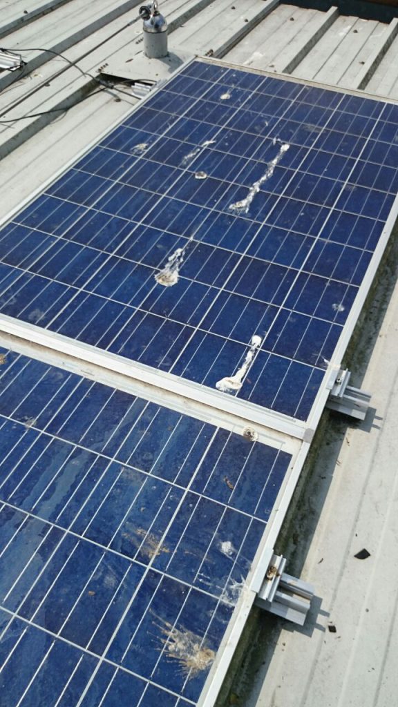 Dirt Detect Object Detection Dataset by Shu Qin Chia