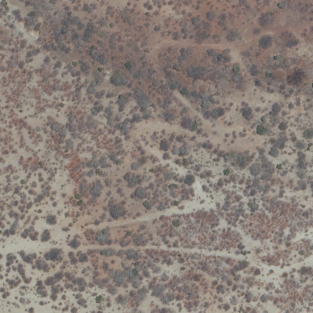 Tree Detection Object Detection Dataset And Pre Trained Model By Tree