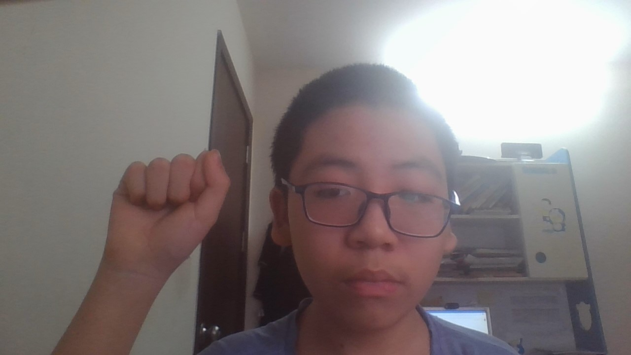 fdsf - Roboflow Universe