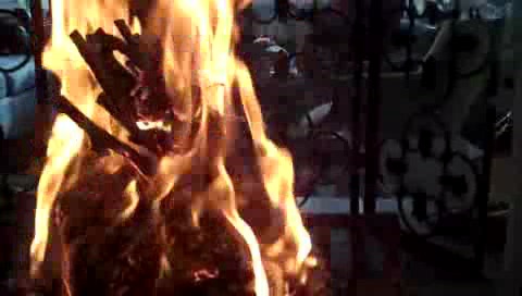 FIRESENSE-ANNOTATED Object Detection Dataset by Major Project