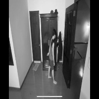 asd Object Detection Dataset by awdaw