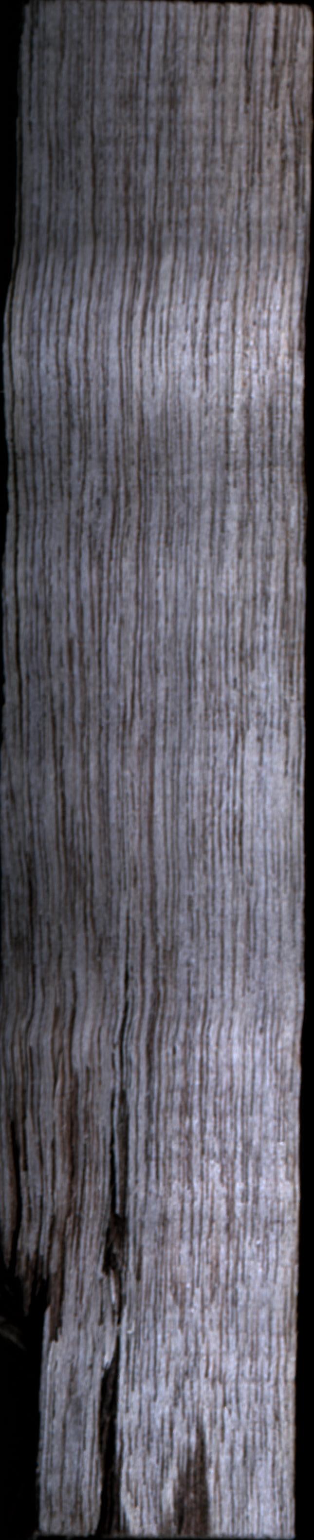 Wood Defect Classification Dataset By Fyp