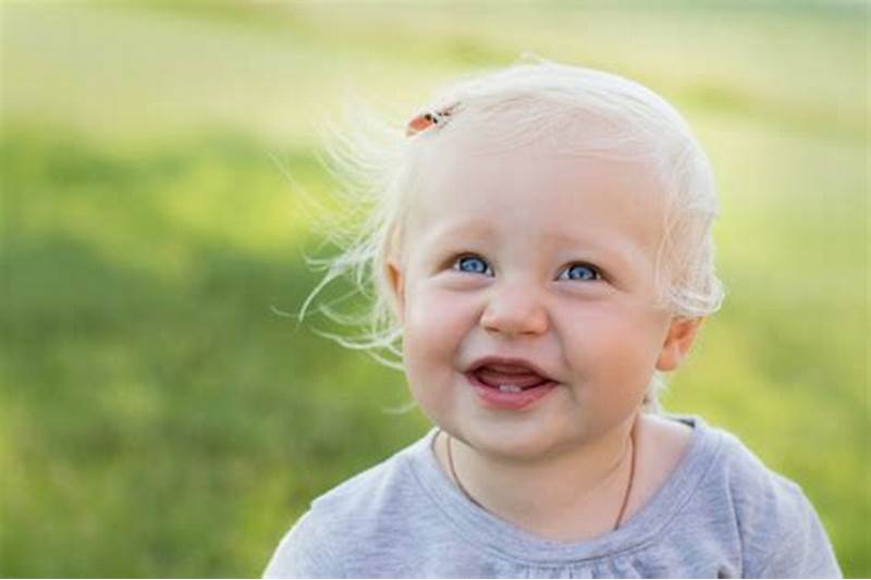 face Object Detection Dataset by student yolov5