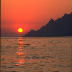 eip Classification Dataset (v4, 2023-08-22 9:16pm) by eip