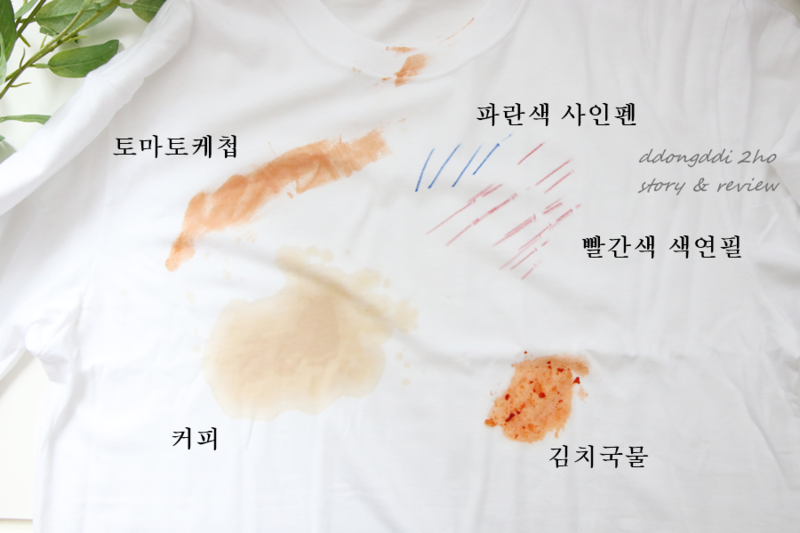 Stain Classification Object Detection Dataset by SWU