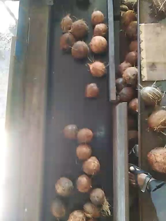 How To Use The Count The Nuts Object Detection Api