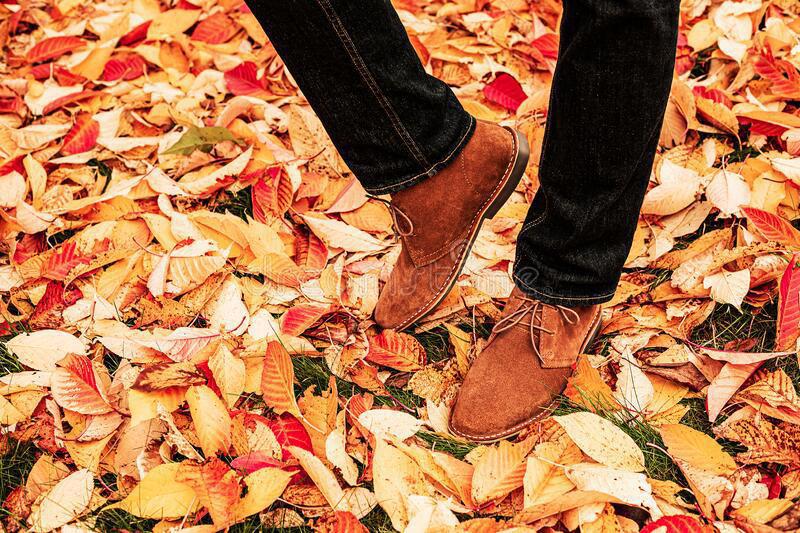 shoes_detection Object Detection Dataset by Nike