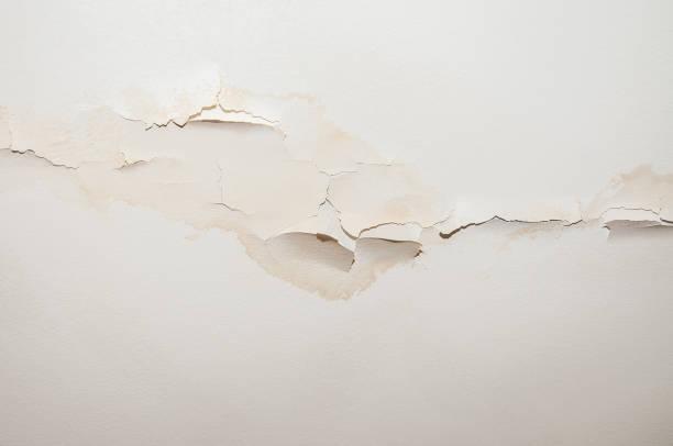 Concrete Stain Instance Segmentation Dataset By Liupu