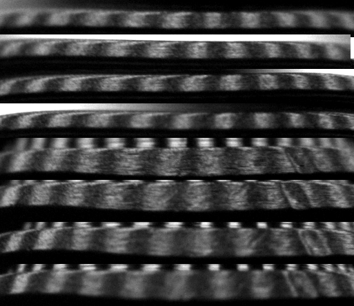 circle Object Detection Dataset by lenks