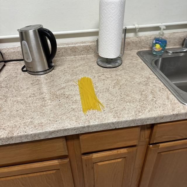 Prototype 1 Spaghetti Noodle Object Detection Dataset By Trash Classes