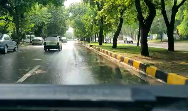 Hamza Nadeem - Roboflow Universe