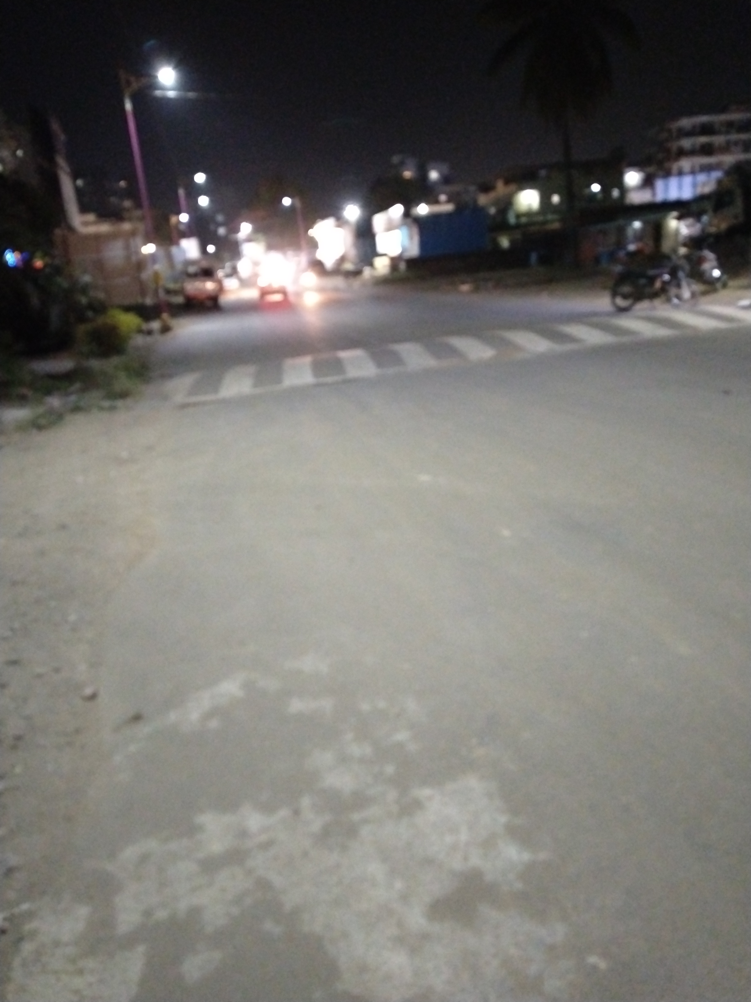 Zebra crossing Object Detection Dataset by DataCluster Labs