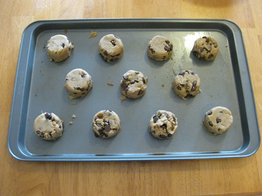 Coo Object Detection Dataset by University