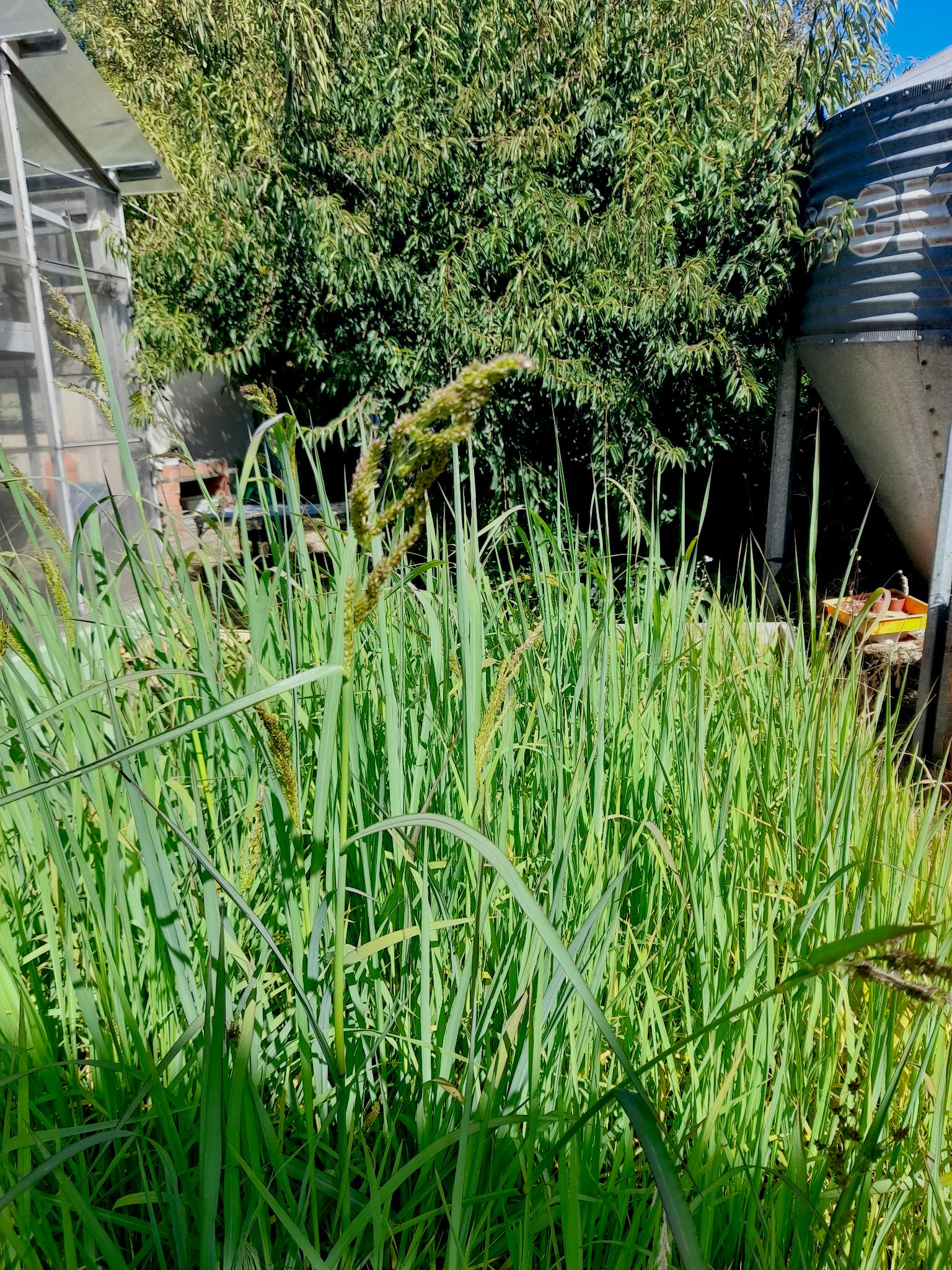 hual-prueba Object Detection Dataset by new-workspace-eluts