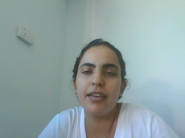 My Dataset Object Detection Dataset by Mariem Smari