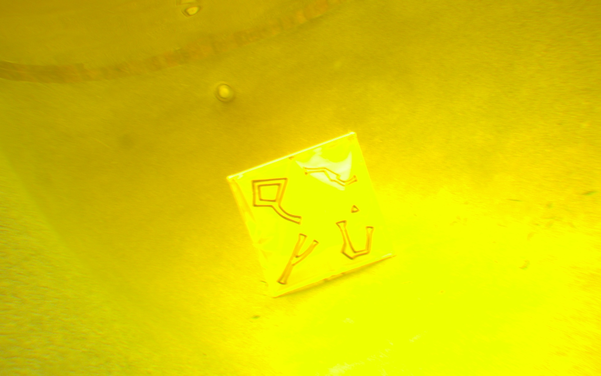 Robosub_2023 Object Detection Dataset by AUVIITB