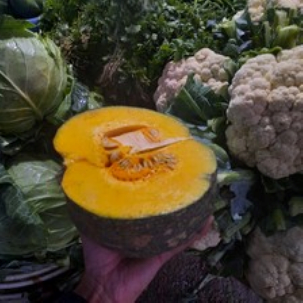 Pumpkin Object Detection Dataset By Practicas