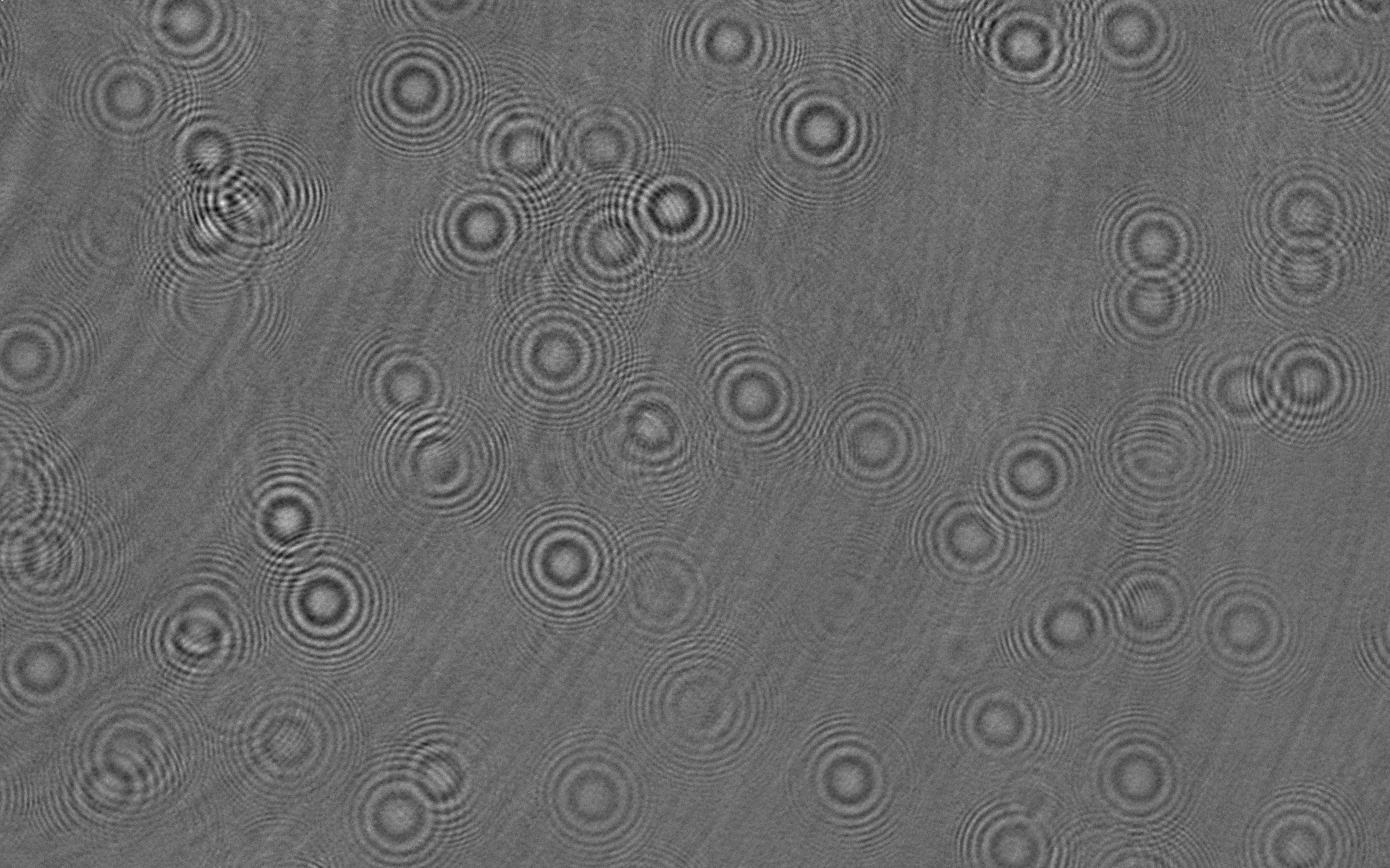 Ecoli New Object Detection Dataset By Lei Feng