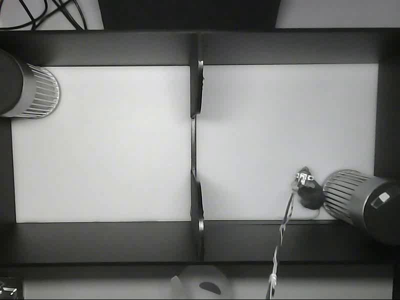 Mouse Nose Object Detection Dataset By Peking University