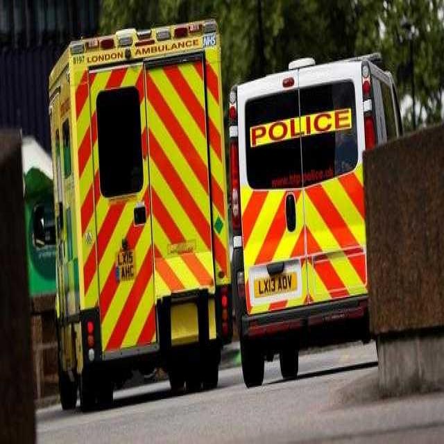 TL-ambulance+siren Object Detection Dataset and Pre-Trained Model by TransferLearningAmbuSirenv8