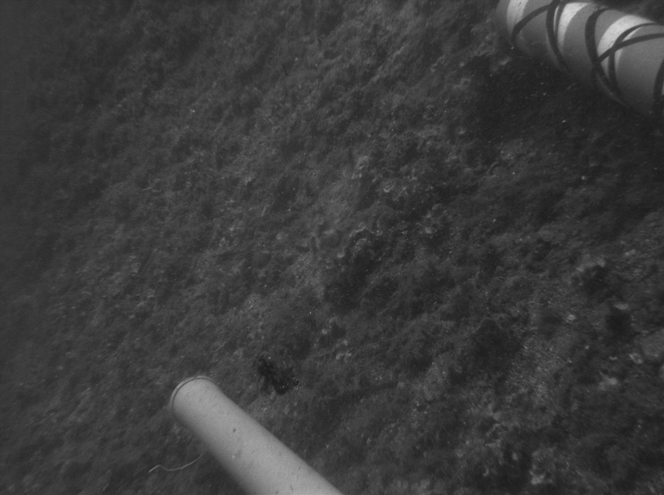 underwater pipe Object Detection Dataset by new-workspace-e5fhh