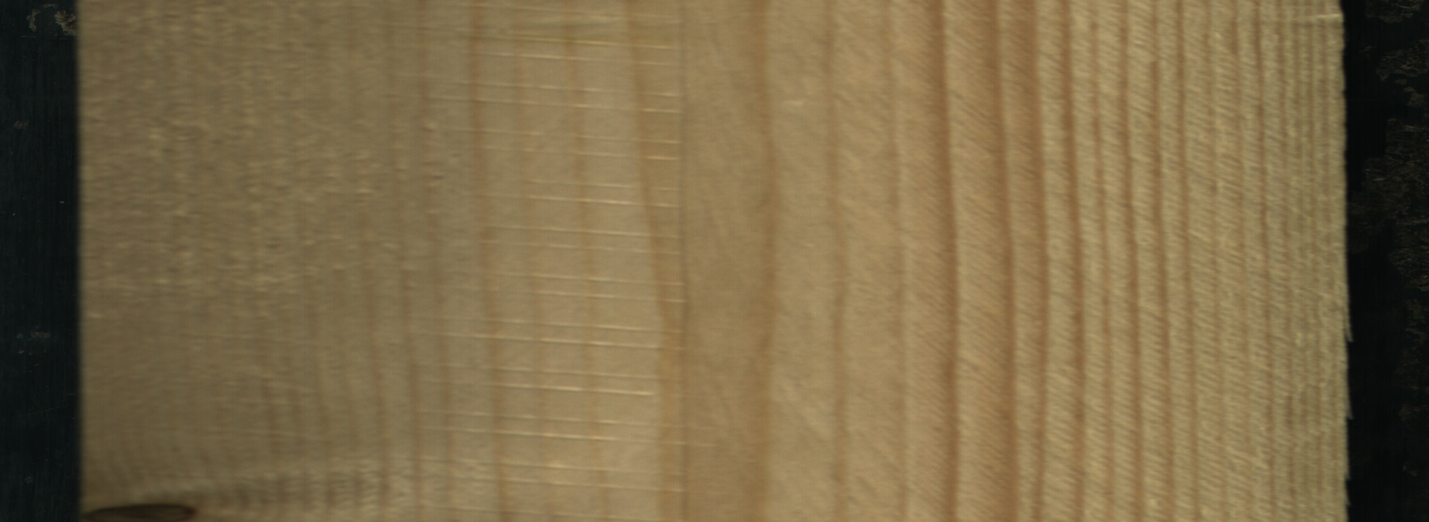 wood Object Detection Dataset by SRMIST