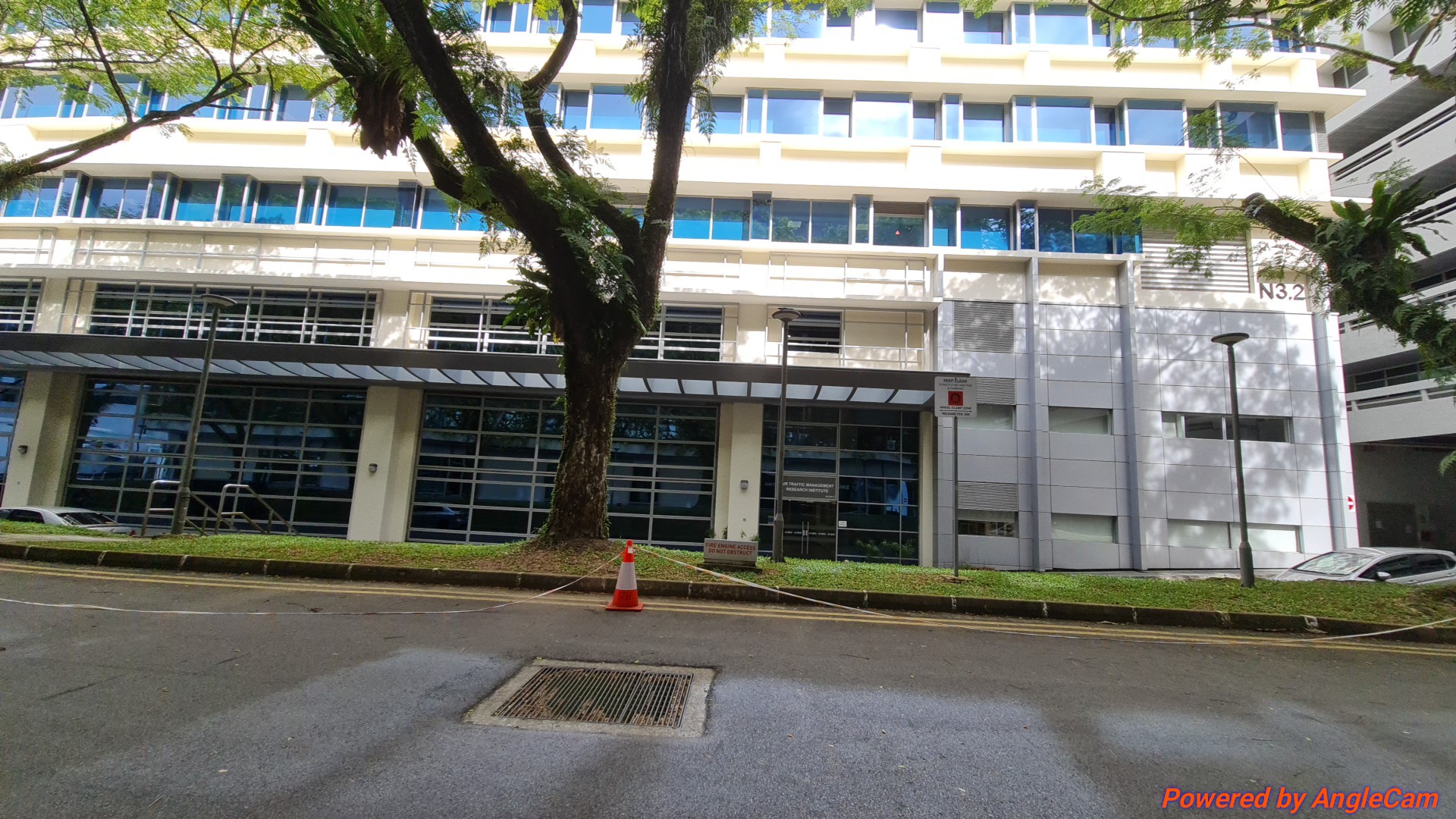 Tree Detection Roboflow Universe