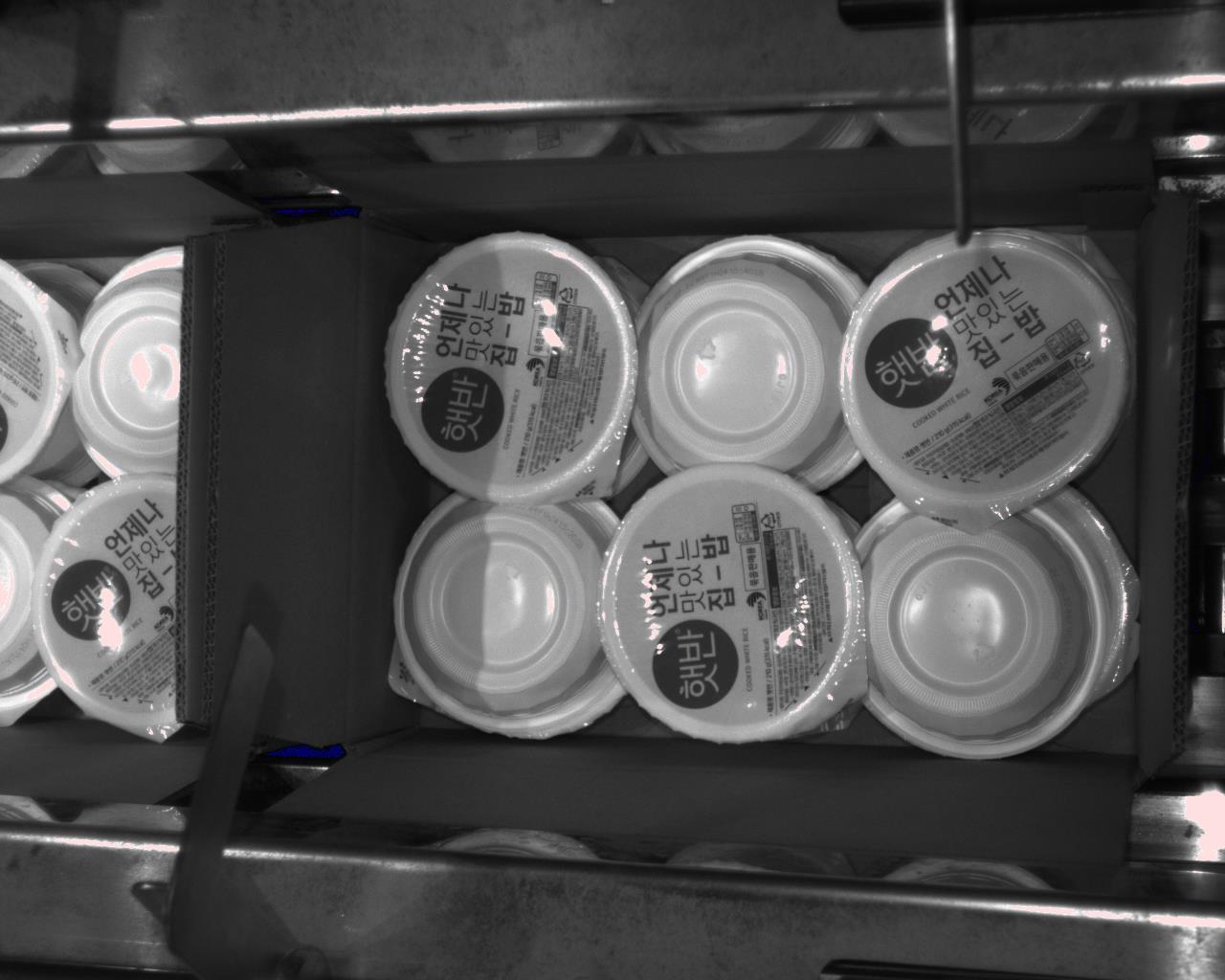 rice Instance Segmentation Dataset by sam