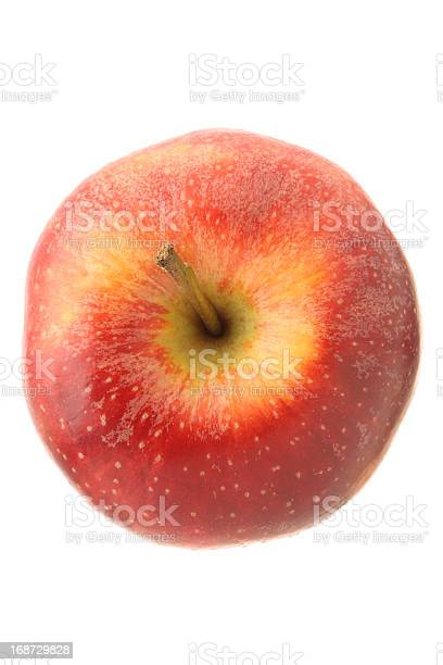 Apple Detection Object Detection Dataset and Pre-Trained Model by SideCar Datasets