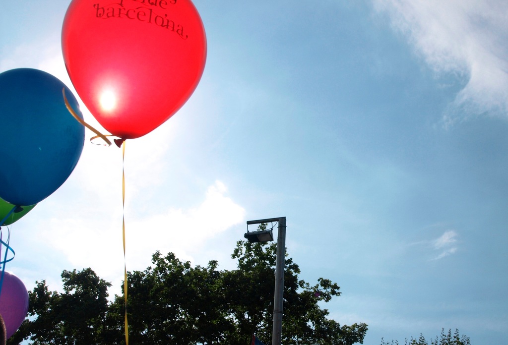 Ai Balloon Object Detection Dataset By Balloon