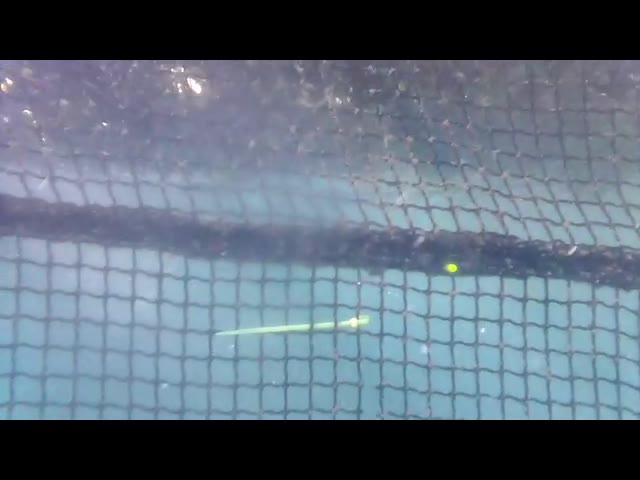 hole detection final 2 Object Detection Dataset by Net defects