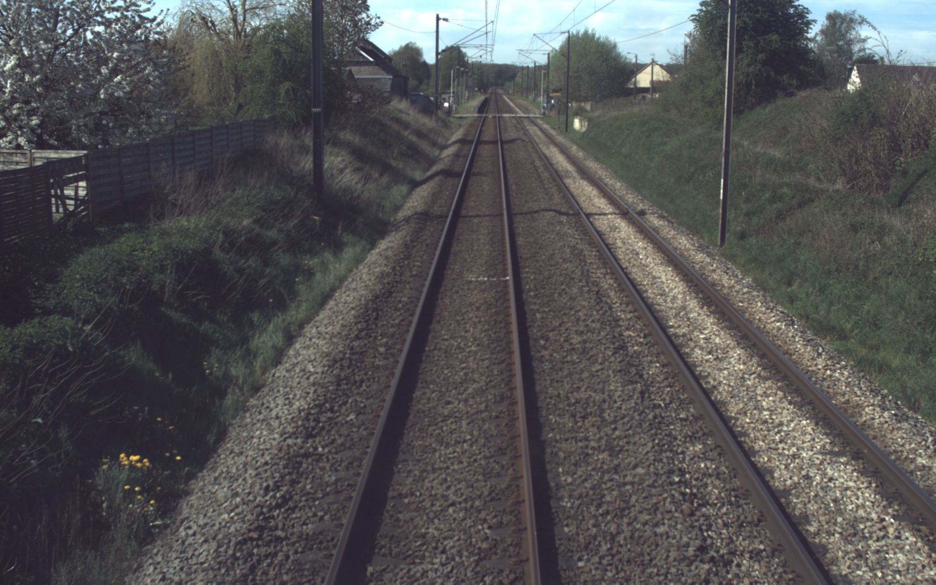 ggg Object Detection Dataset by youssef