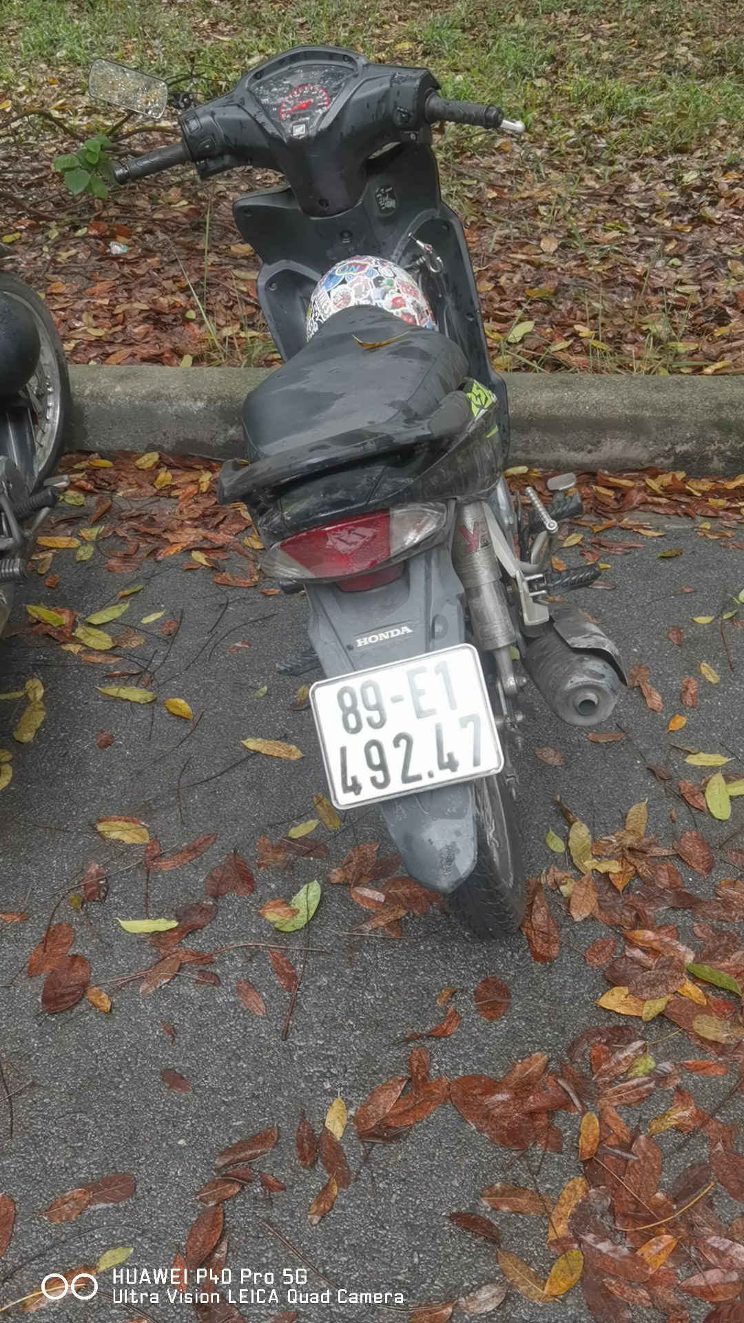 Licece Plate Detection Object Detection Dataset By Licence Plate