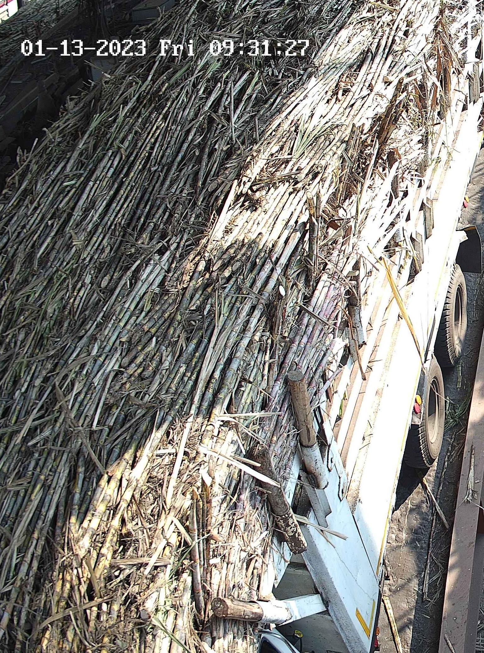 How to Use the seg-trash-clean-cane Instance Segmentation API